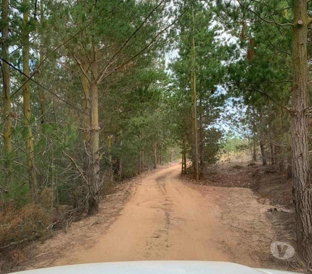 Parcela o Chacra en Venta en Algarrobo | 48539557 | Emol Propiedades