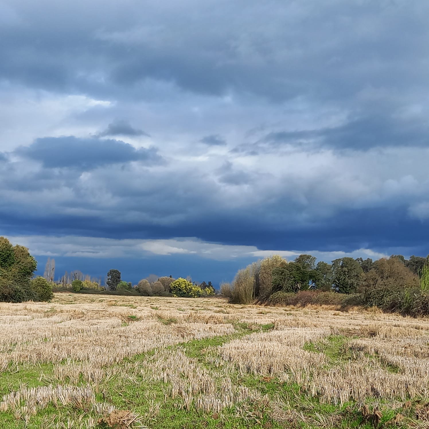 Parcela o Chacra en Venta en Longaví | 48555695 | Emol Propiedades