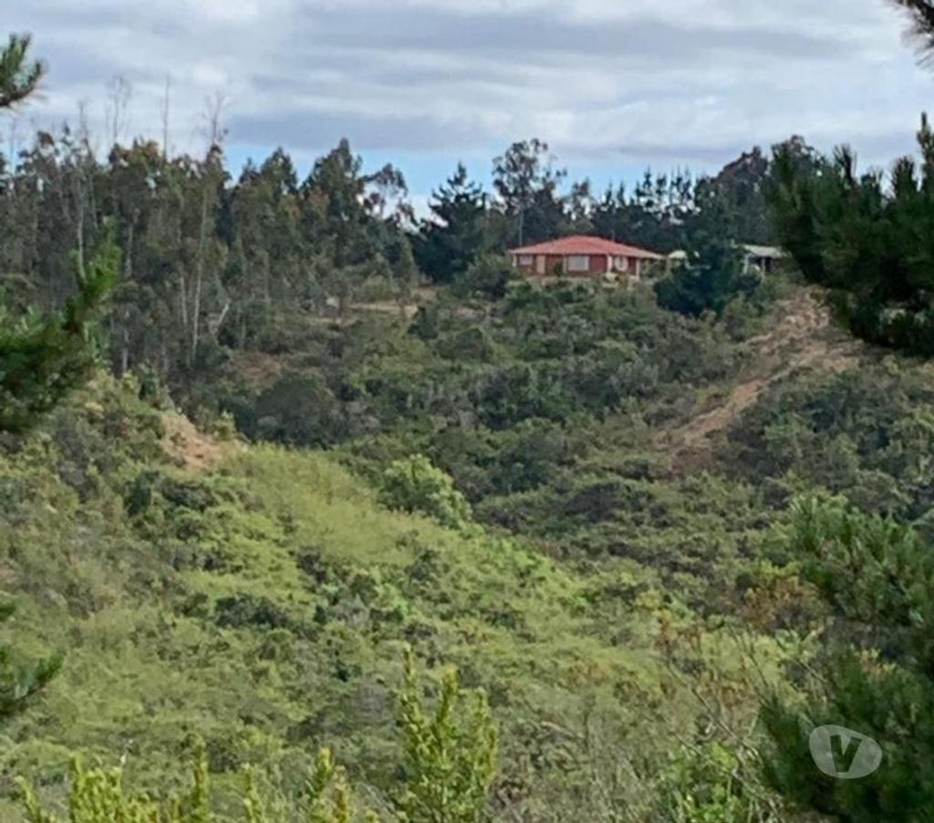 Parcela o Chacra en Venta en Algarrobo | 48539557 | Emol Propiedades