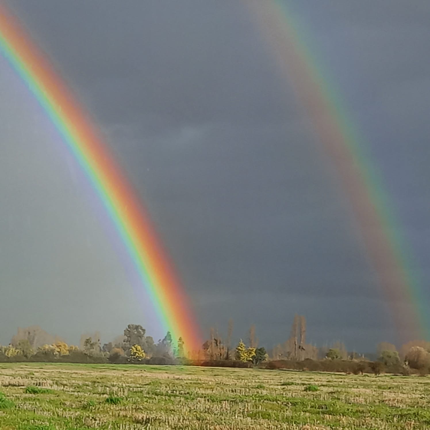 Parcela o Chacra en Venta en Longaví | 48555695 | Emol Propiedades